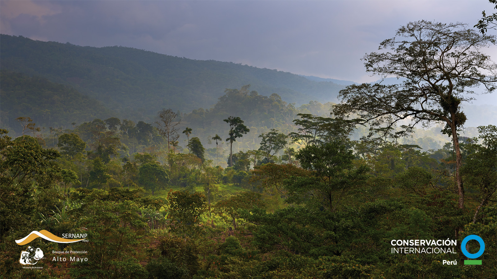 Documento sin título
